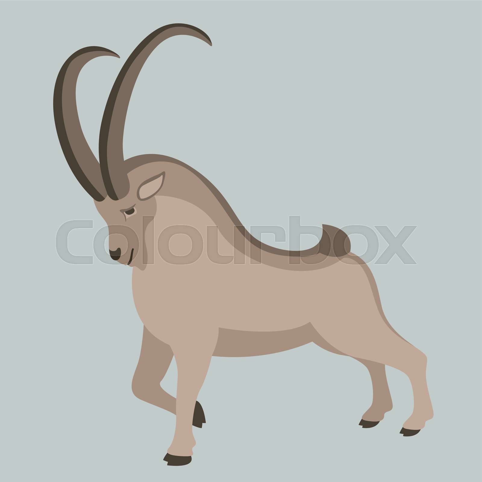 mountain goat, vector | Stock vector | Colourbox