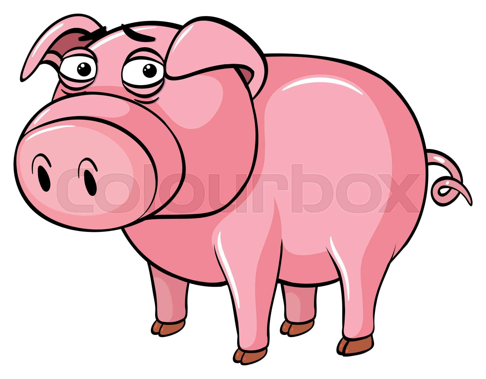 Sad Pig Face