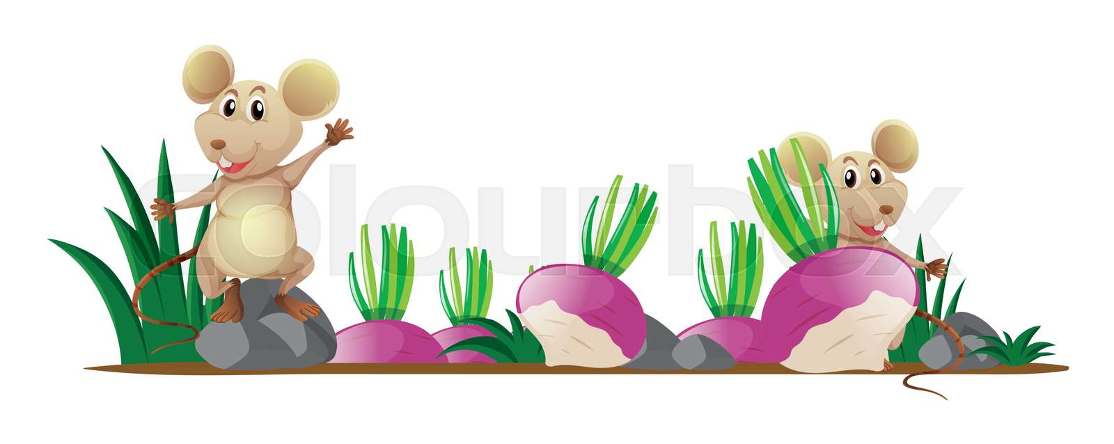 Two rats in vegetable garden | Stock vector | Colourbox