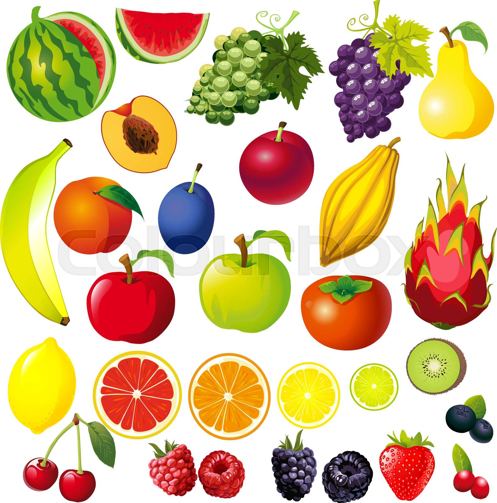 FRUIT Illustration Big Collection Mix - Vector | Stock vector | Colourbox