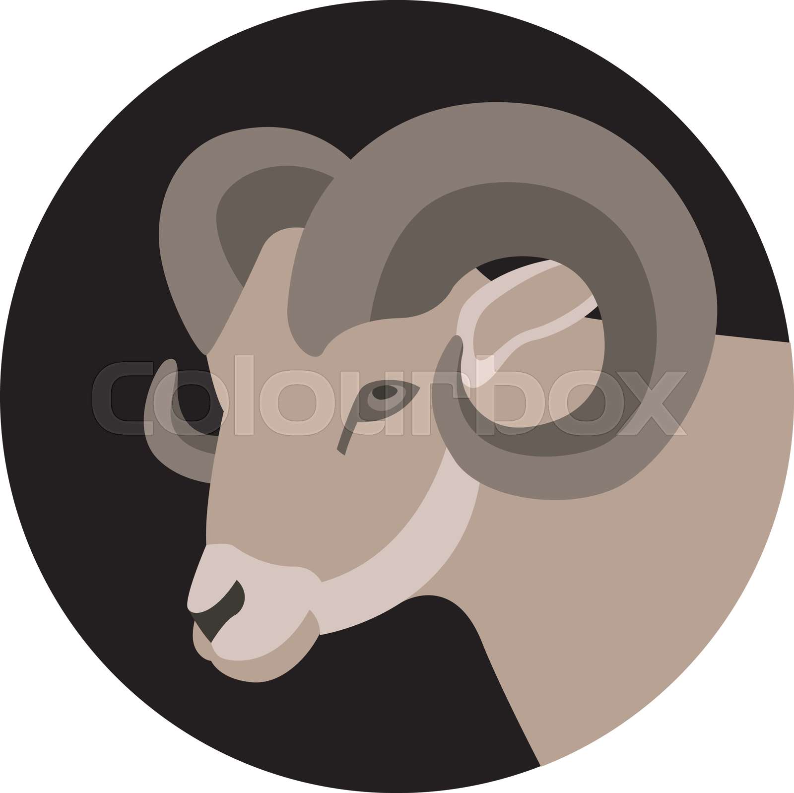 ram head, vector | Stock vector | Colourbox