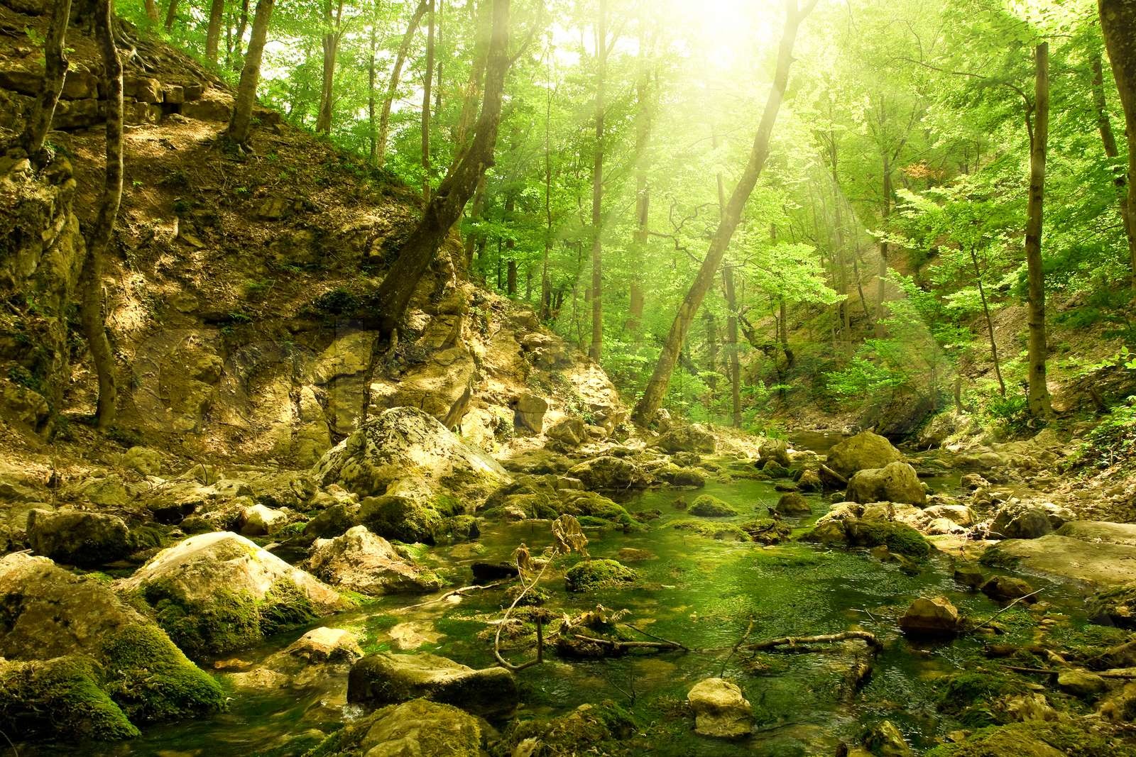 Der Fluss im Wald | Stock Bild | Colourbox