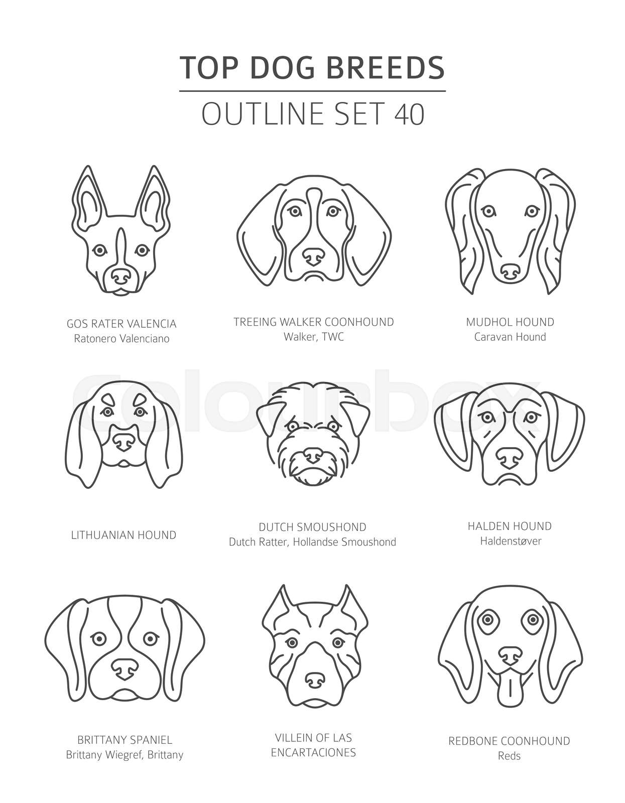 Top dog breeds. Hunting dogs set. Pet outline collection | Stock vector ...