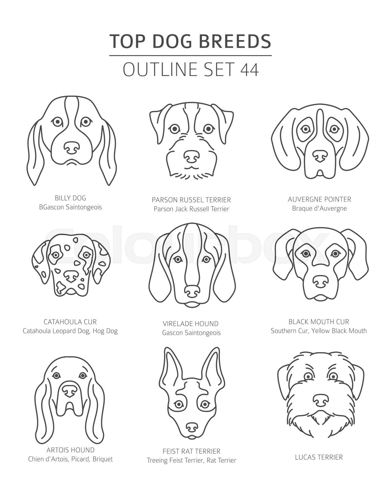 Top dog breeds. Hunting dogs set. Pet outline collection | Stock vector ...