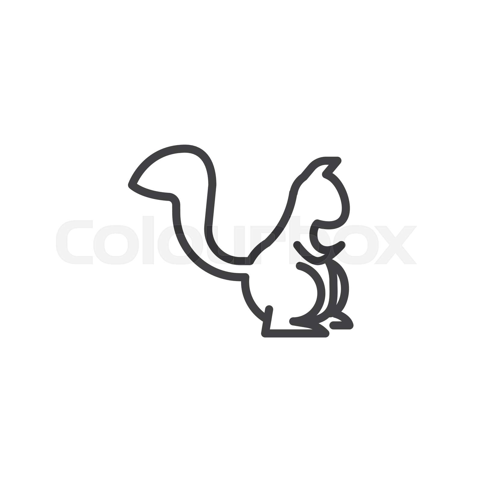 Squirrel side view line icon | Stock vector | Colourbox