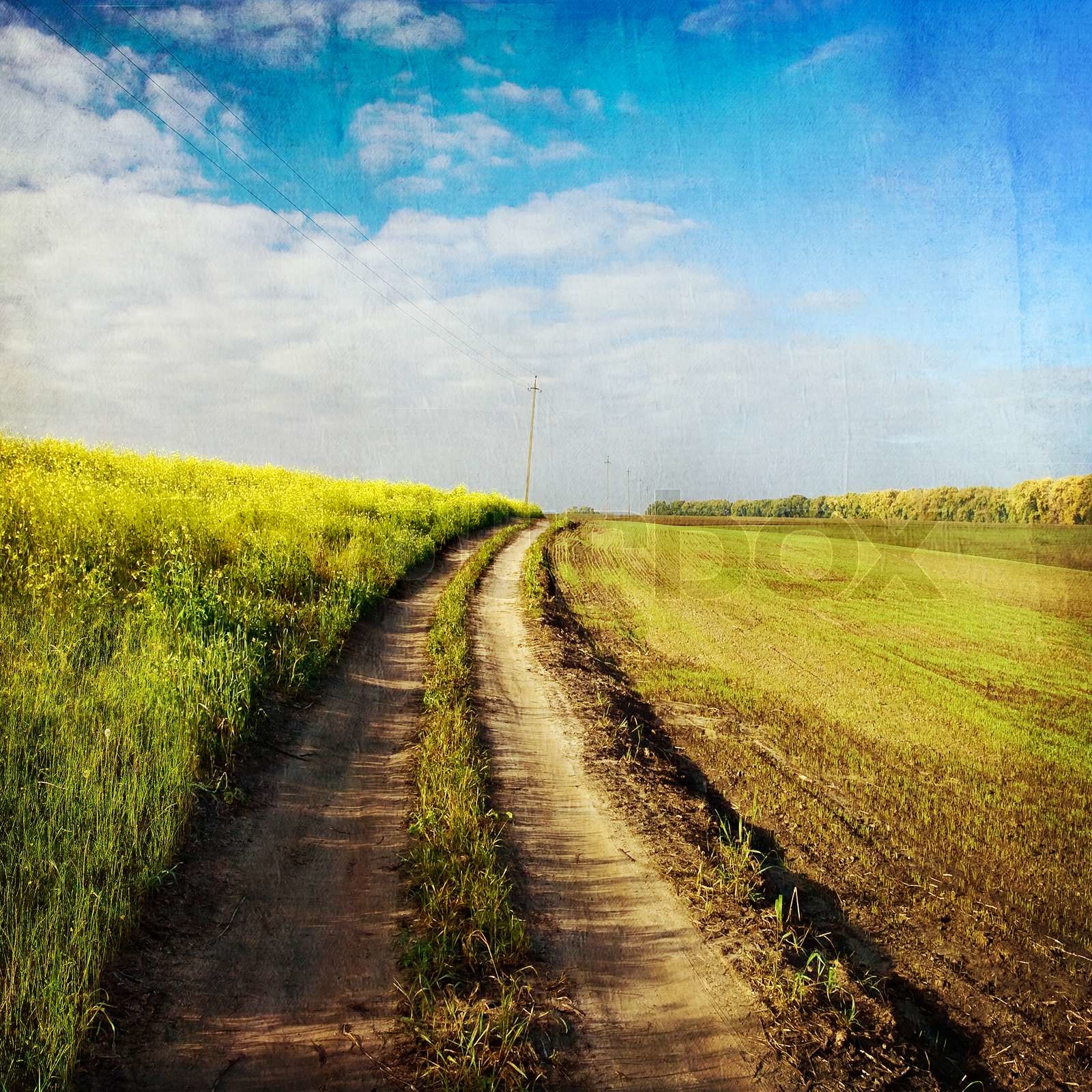 Vintage image of rural landscape. Road in the countryside | Stock image ...