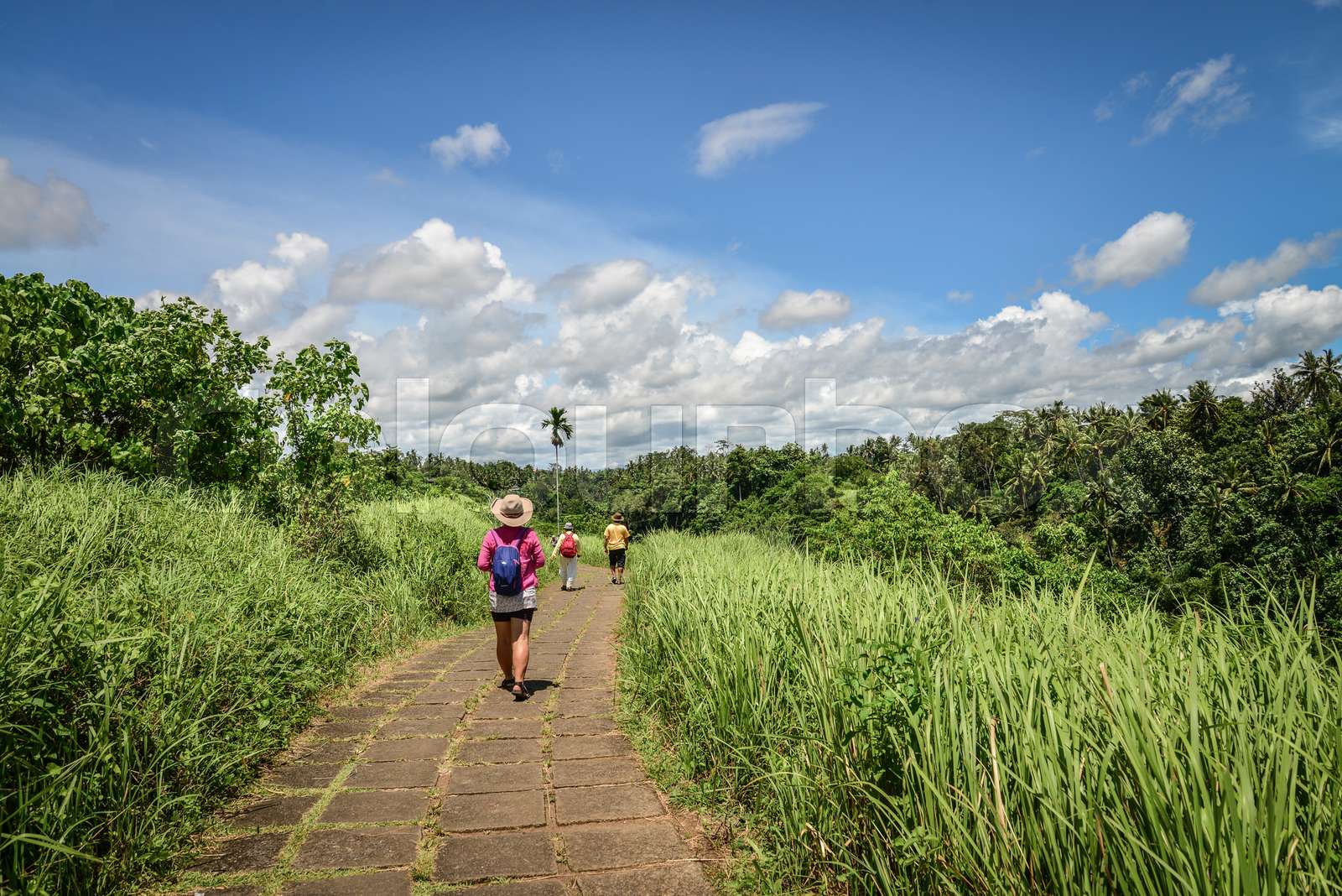 Tourists walk along the beautiful Campuhan Ridge Walk | Stock image ...