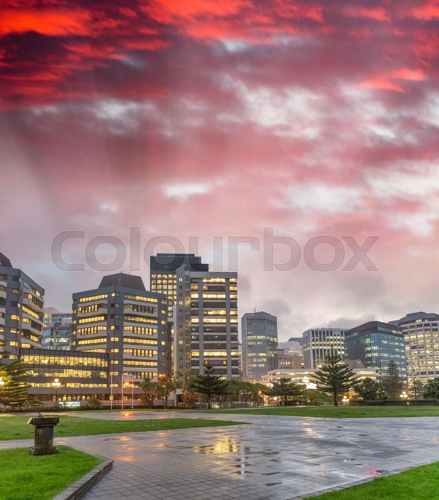 Wellington night skyline from waterfront | Stock image | Colourbox