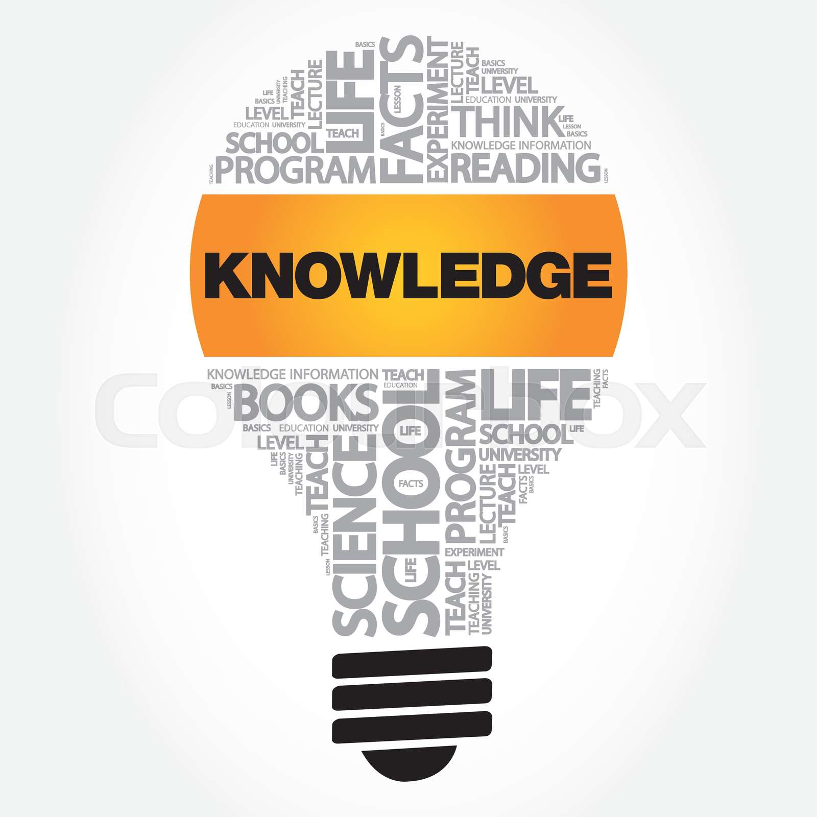KNOWLEDGE bulb word cloud | Stock vector | Colourbox