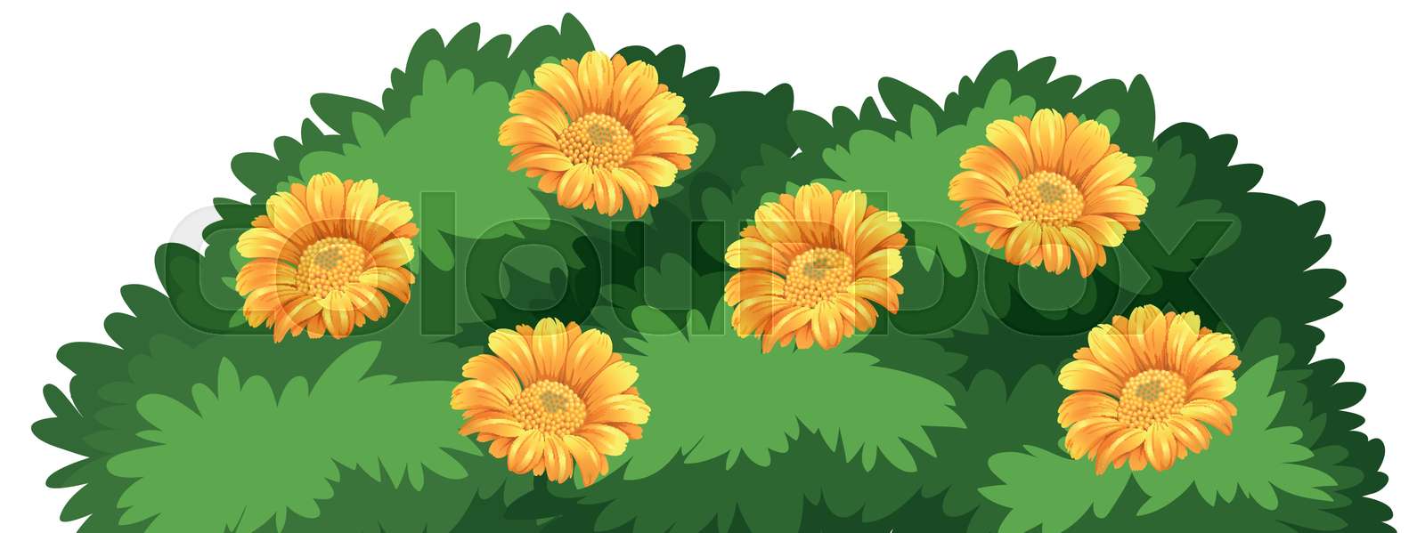 An isolated flower bush | Stock vector | Colourbox