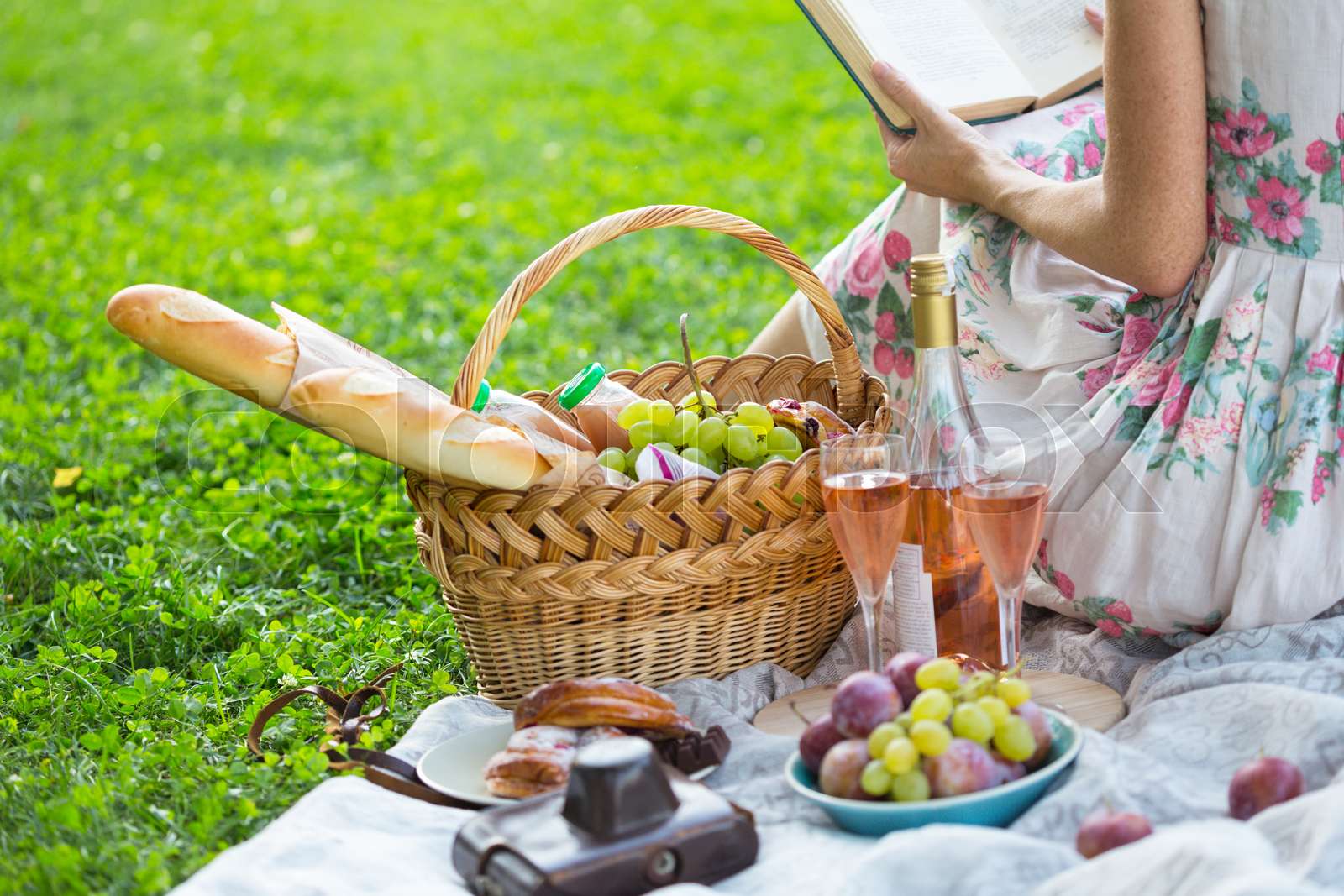 Picnic in the meadow | Stock image | Colourbox