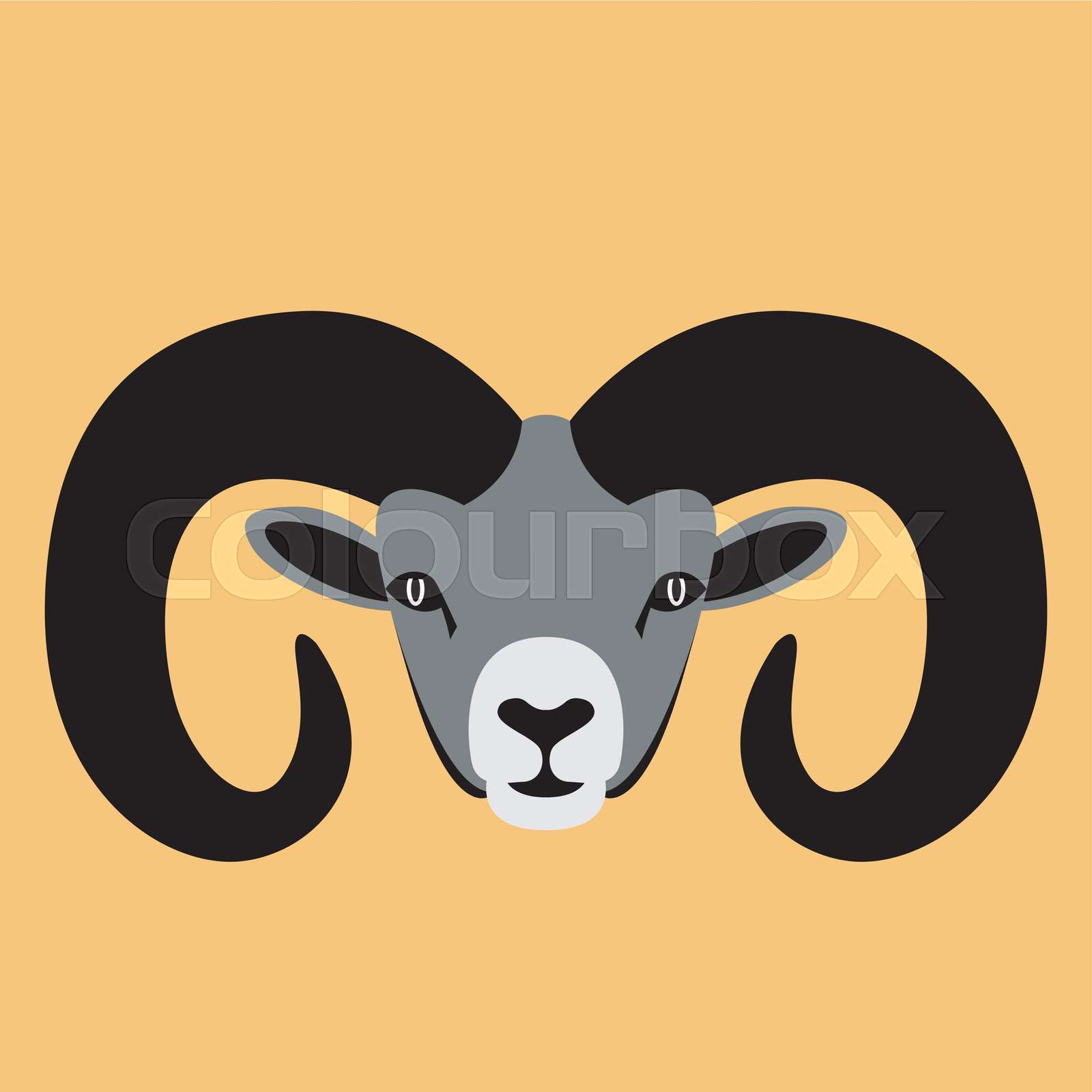 ram head, vector | Stock vector | Colourbox