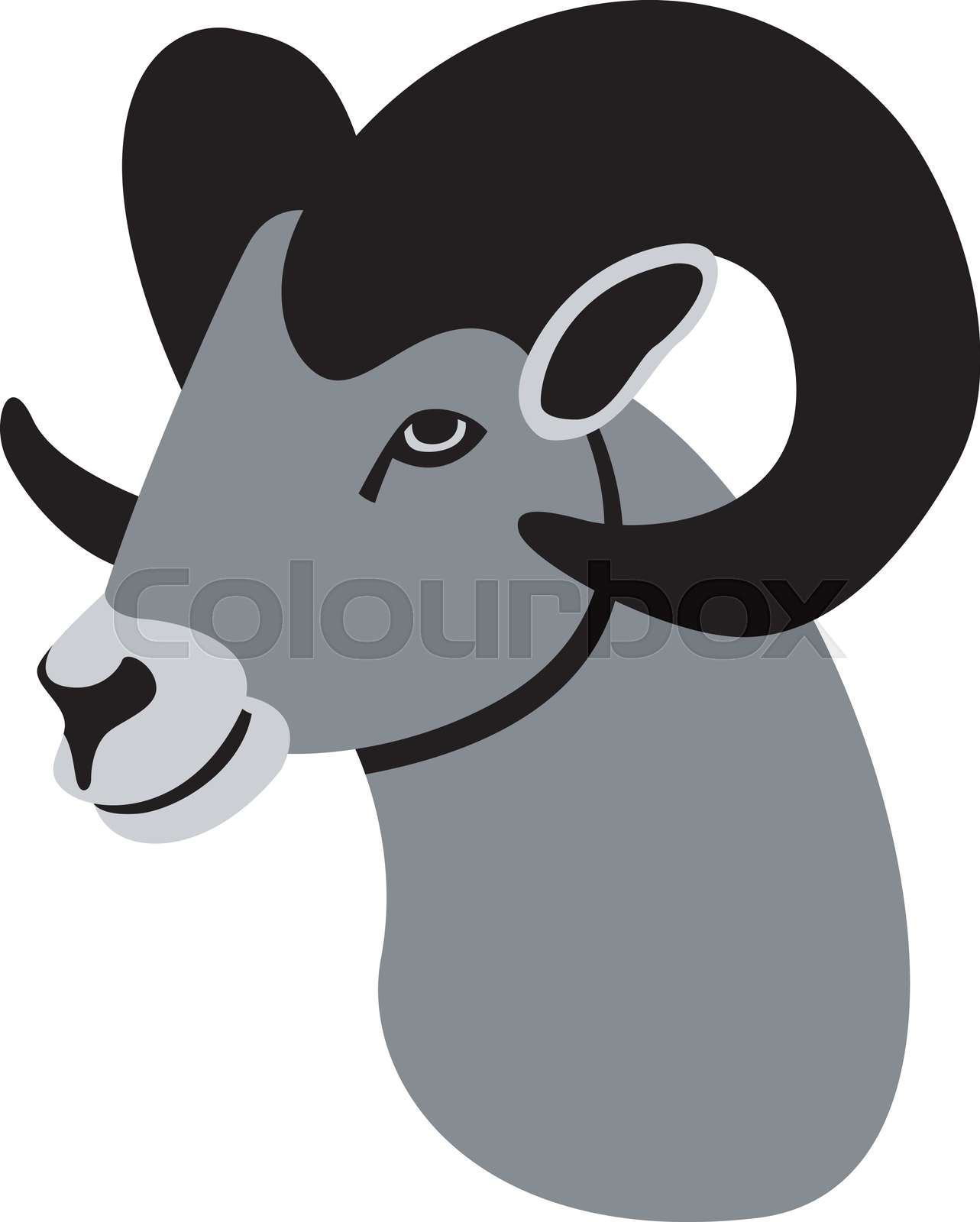 ram head, vector | Stock vector | Colourbox
