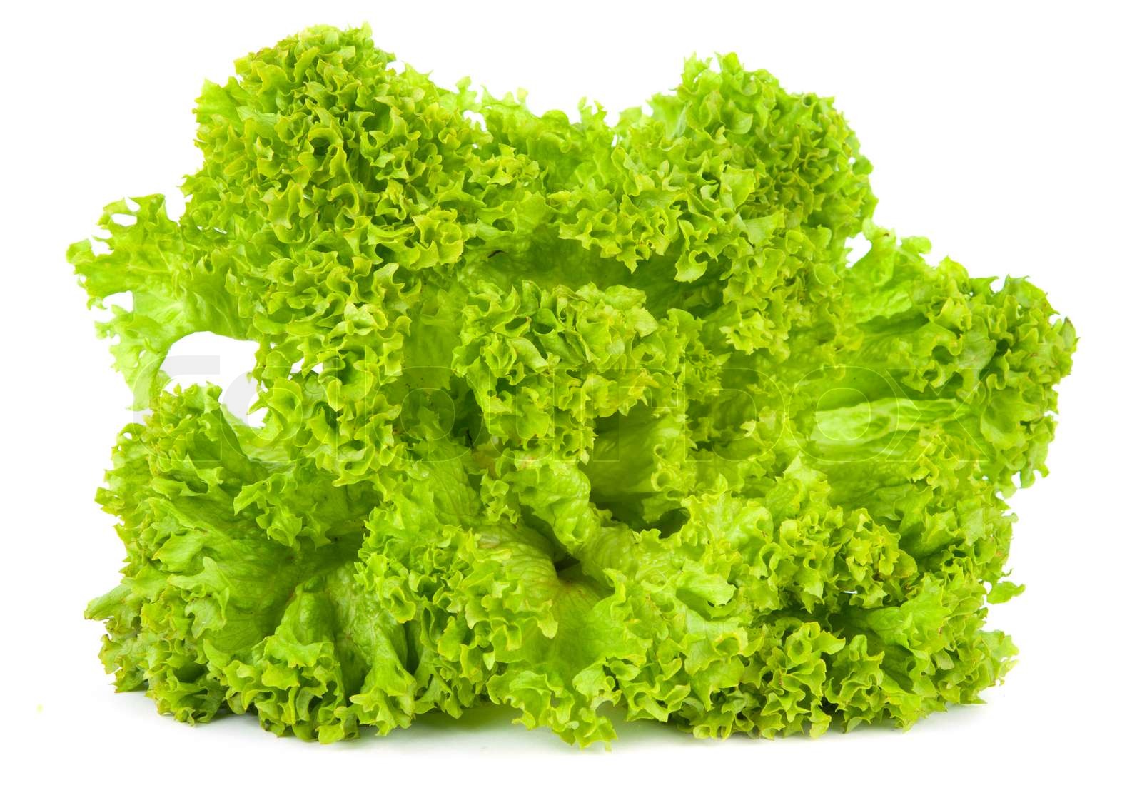 salat blade | Stock foto | Colourbox