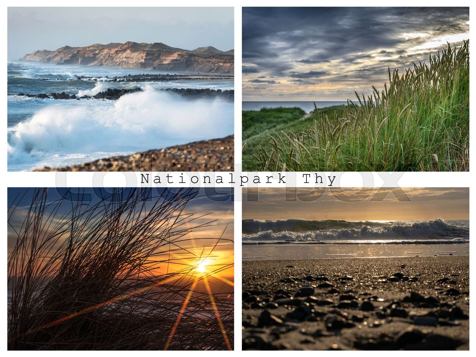 nationalparkthy, denmark, thy | Stock image | Colourbox