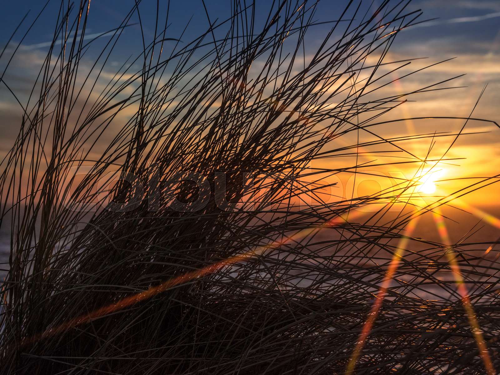 Nationalpark Thy Denmark | Stock foto | Colourbox