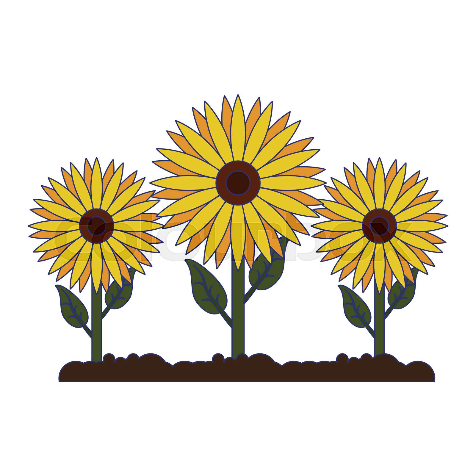 sunflowers gardening cartoon isolated | Stock vector | Colourbox