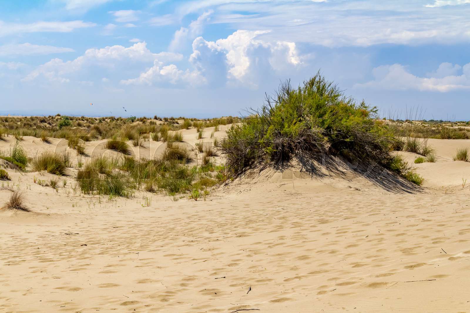 Espiguette Beach | Stock image | Colourbox