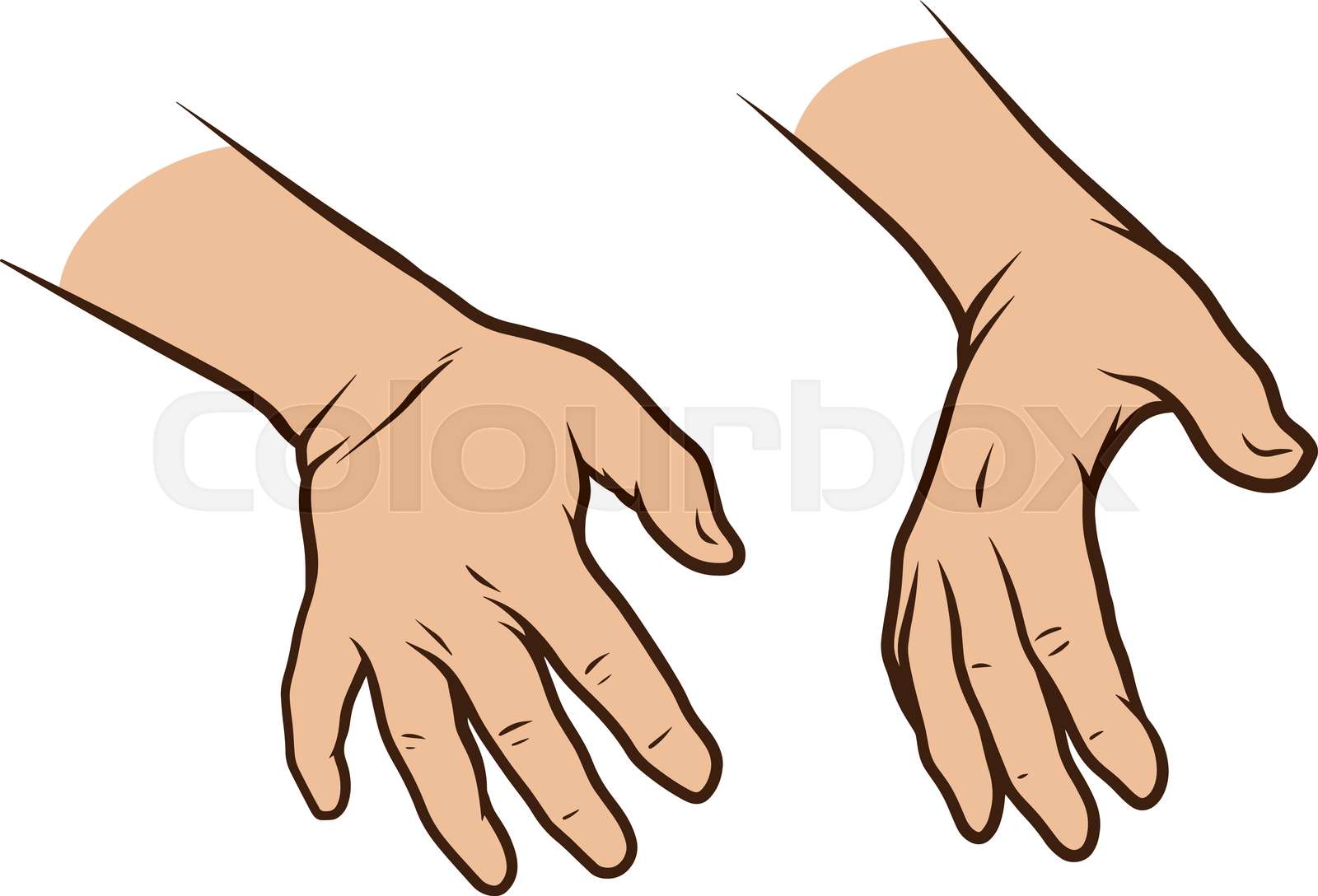 Cartoon white human hands vector icons set | Stock vector | Colourbox