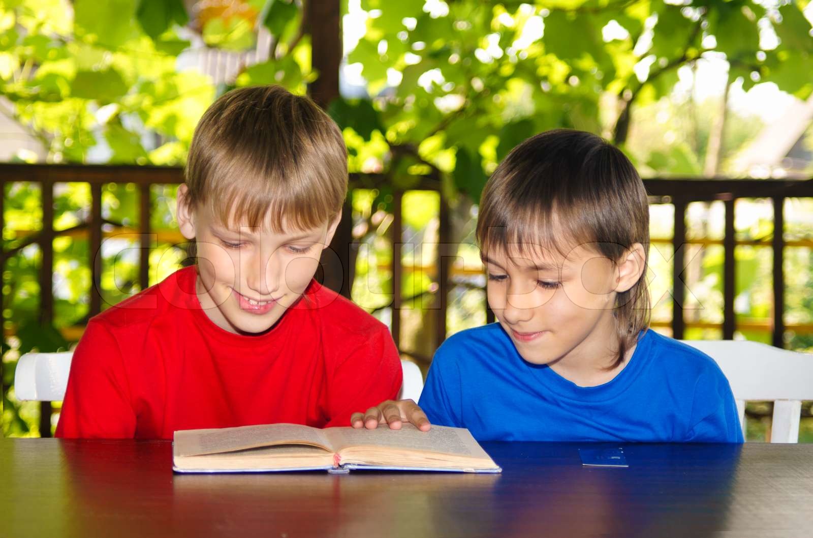 two boys reading | Stock image | Colourbox