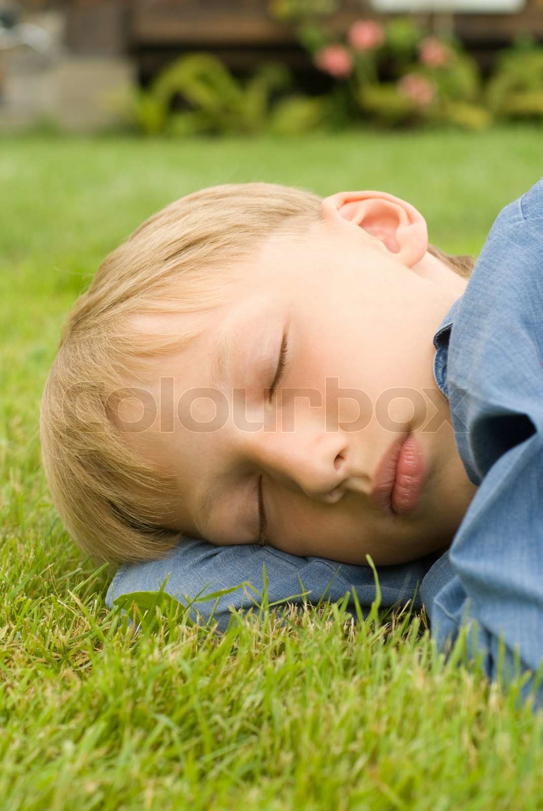 boy sleeping at grass | Stock image | Colourbox