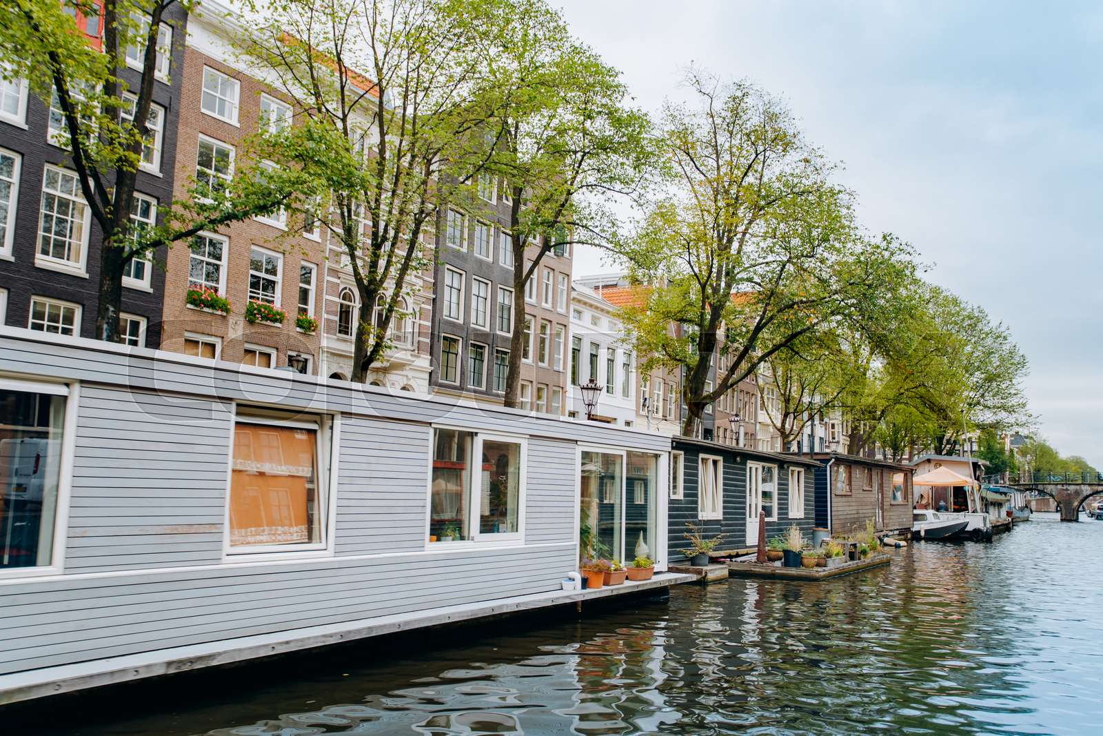 Unique Floating Homes Amsterdam