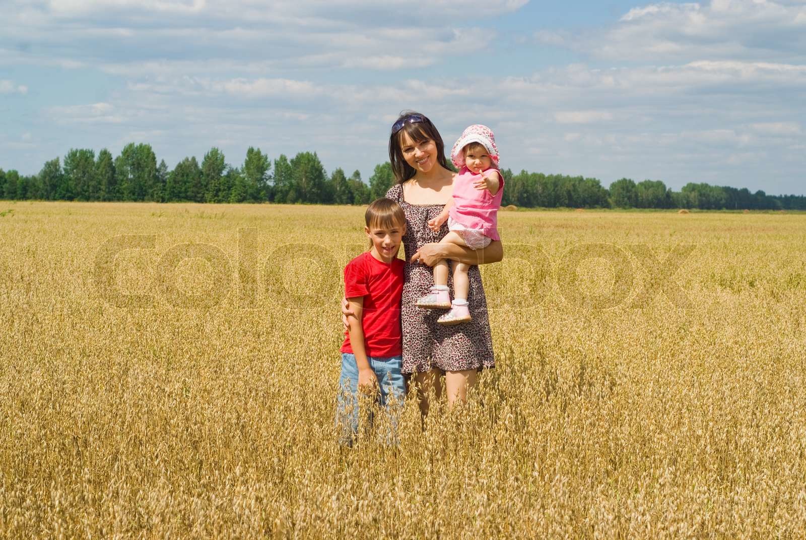Familie auf Feld | Stock Bild | Colourbox