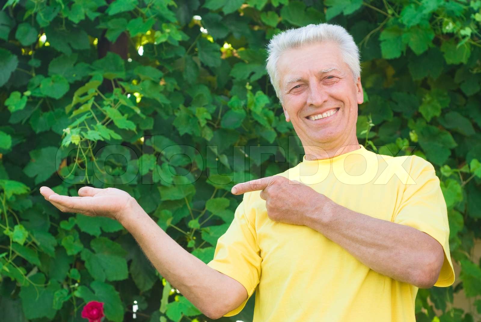 alter Mann im Werk | Stock Bild | Colourbox