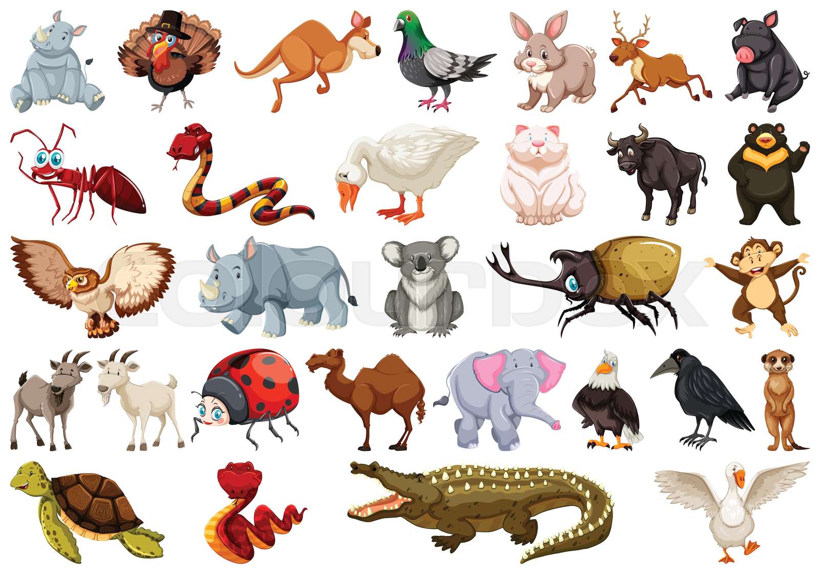 Set of animal character | Stock vector | Colourbox