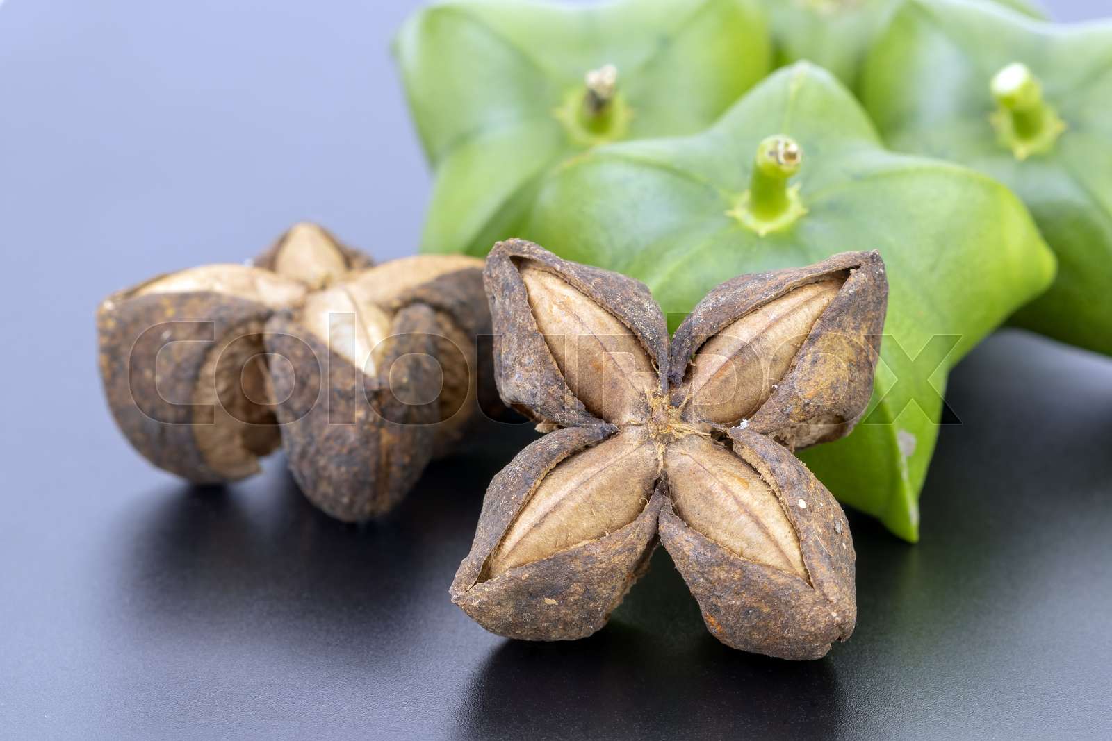 Dried Plukenetia volubilis, sacha inchi, sacha peanut, mountain peanut ...