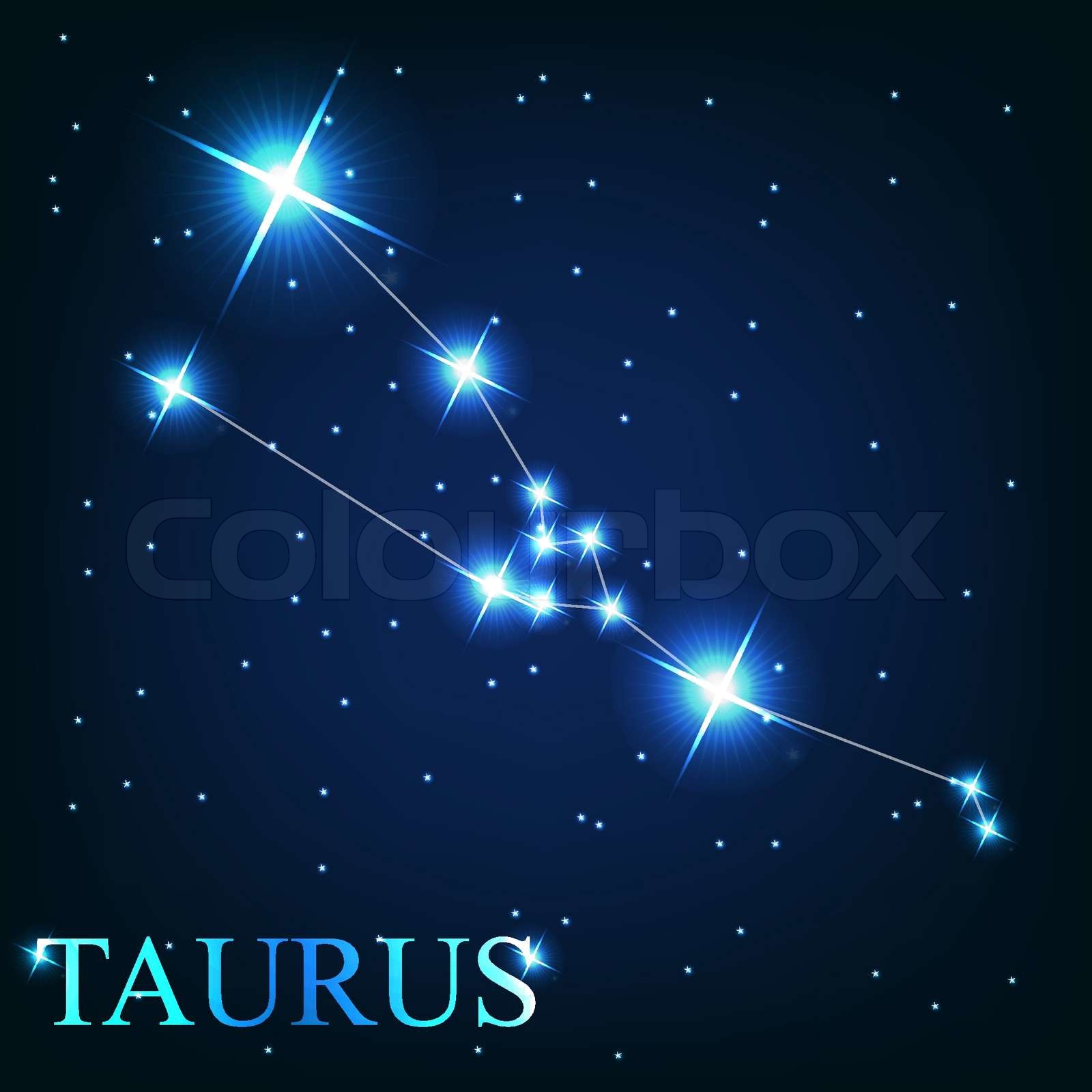 vector of the taurus zodiac sign of the beautiful bright stars on the ...