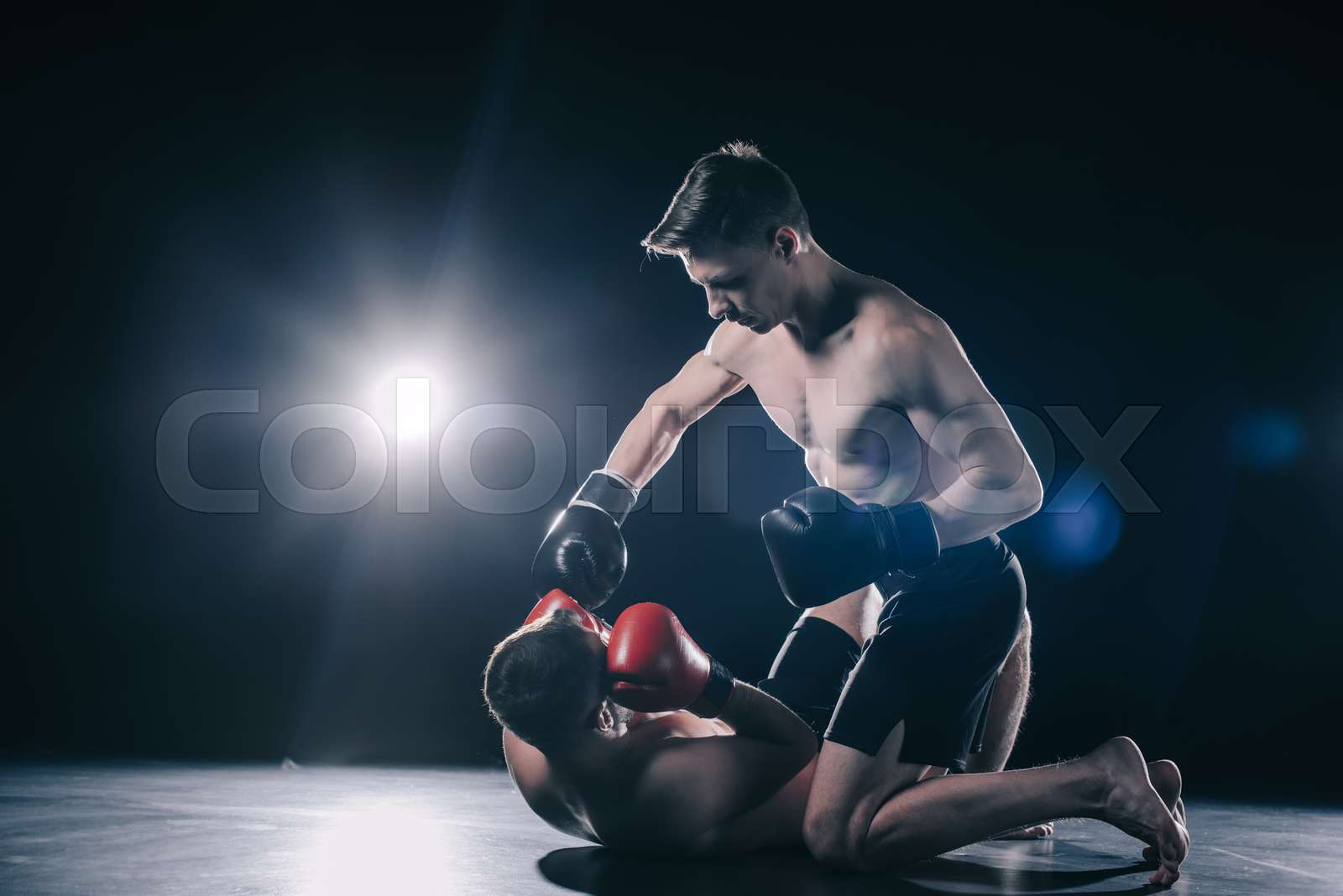 shirtless strong mma fighter in boxing gloves standing on knees above ...