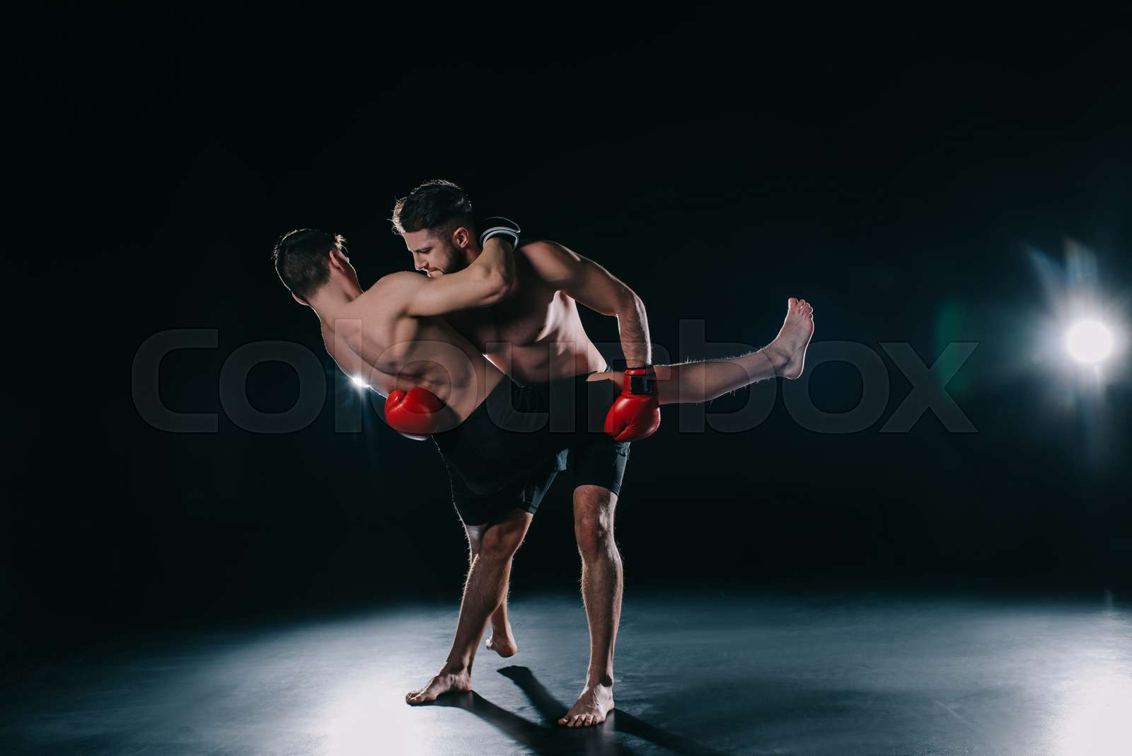strong muscular mma fighter in boxing gloves clinching another | Stock ...