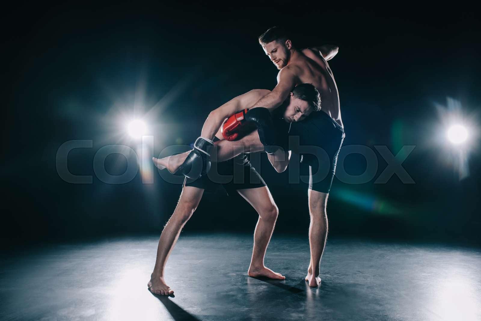 barefoot strong muscular mma fighter in boxing gloves clinching another ...