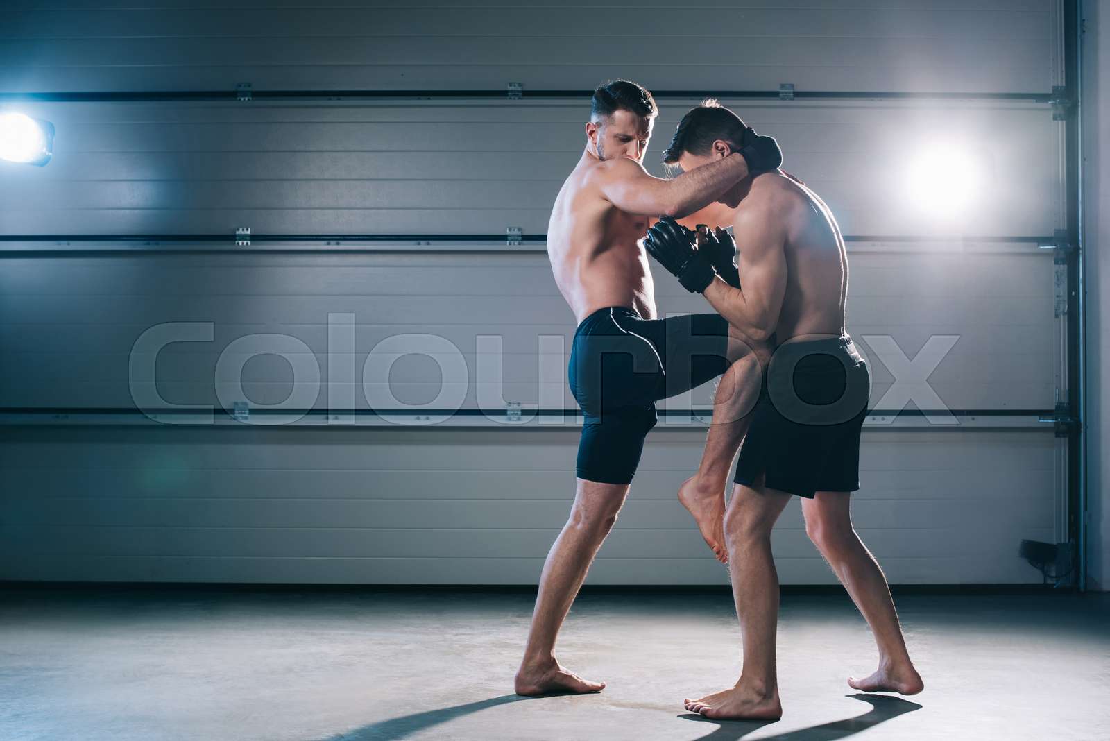 side view of muscular mma fighter kicking sportive opponent in stomach ...
