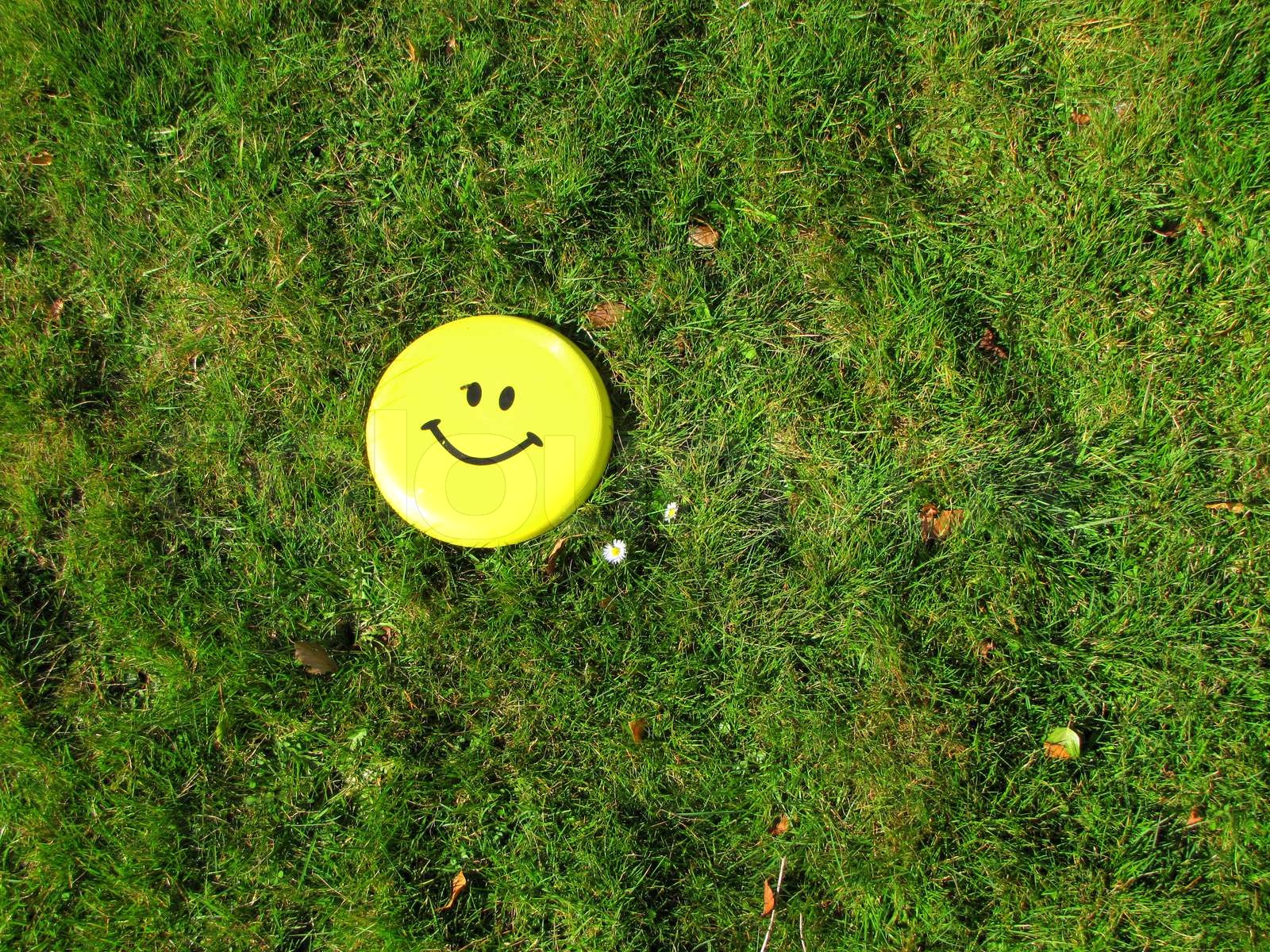 Smiley and a green lawn . | Stock image | Colourbox
