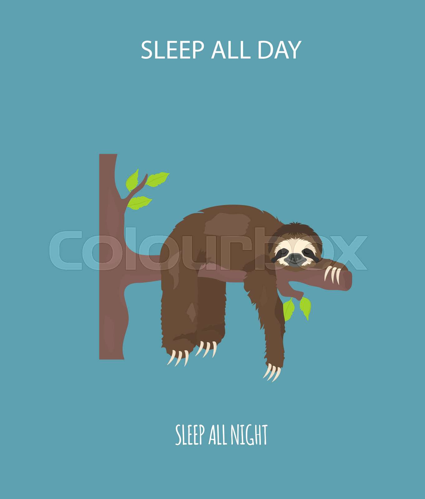 The story of one sloth. Outdoors. Funny cartoon sloths in different ...