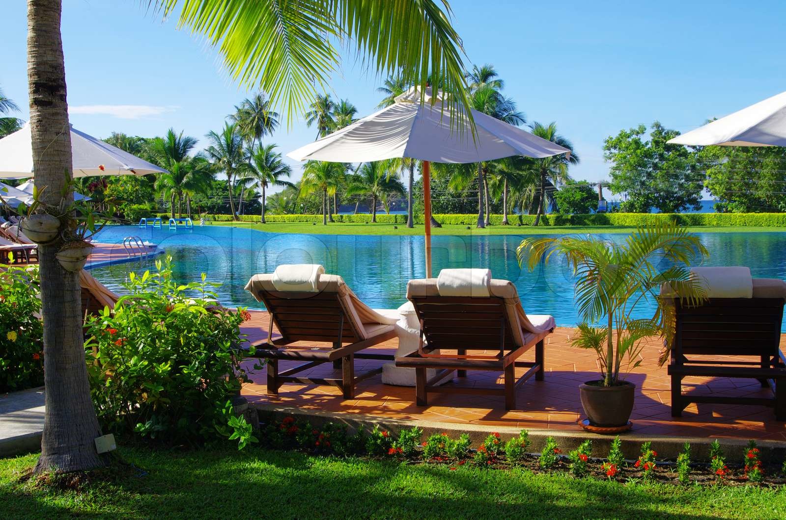 pool in Thailand | Stock image | Colourbox