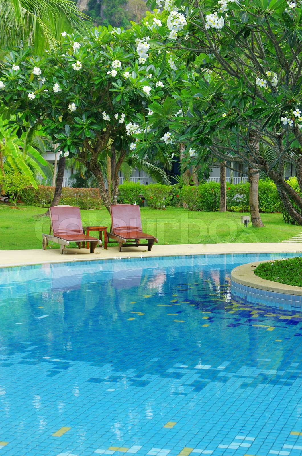 swimming pool | Stock image | Colourbox