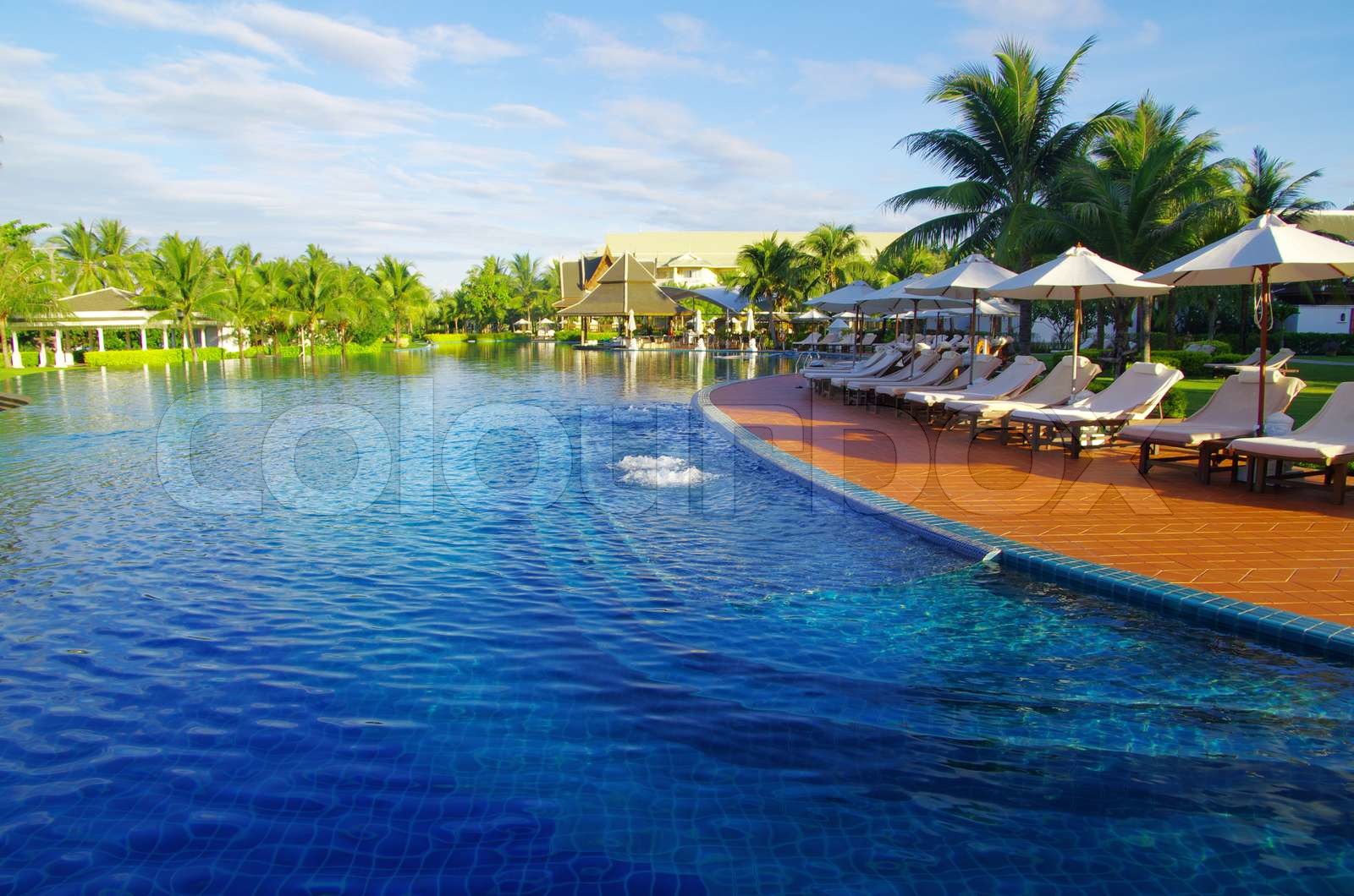 tropical swimming pool | Stock image | Colourbox