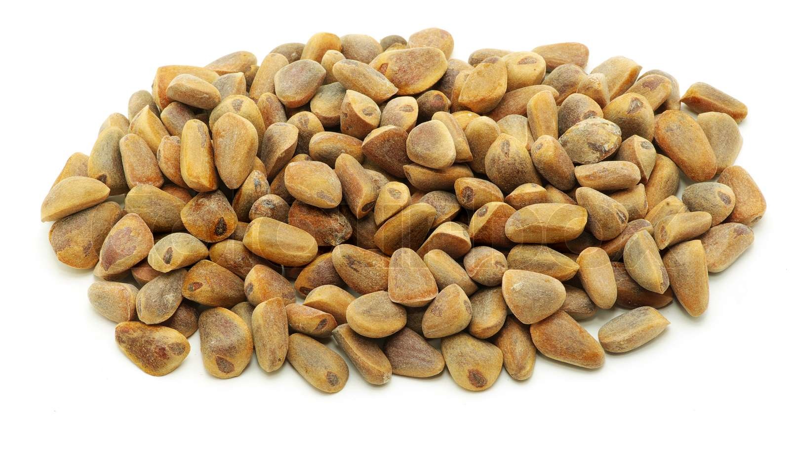 cedar nuts | Stock image | Colourbox