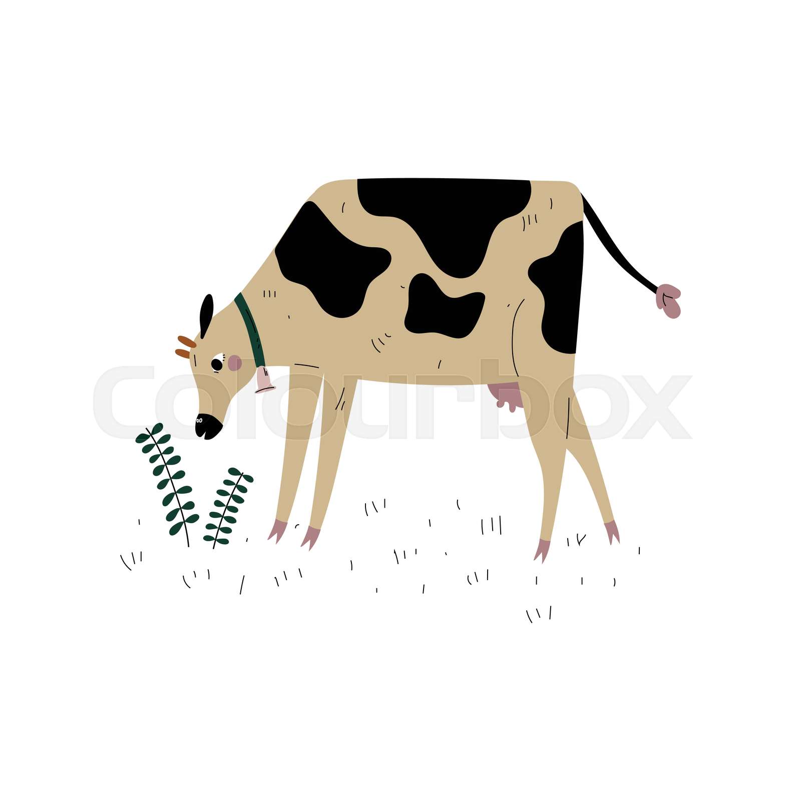 Spotted Cow Grazing on Meadow, Dairy Cattle Animal Husbandry Breeding ...