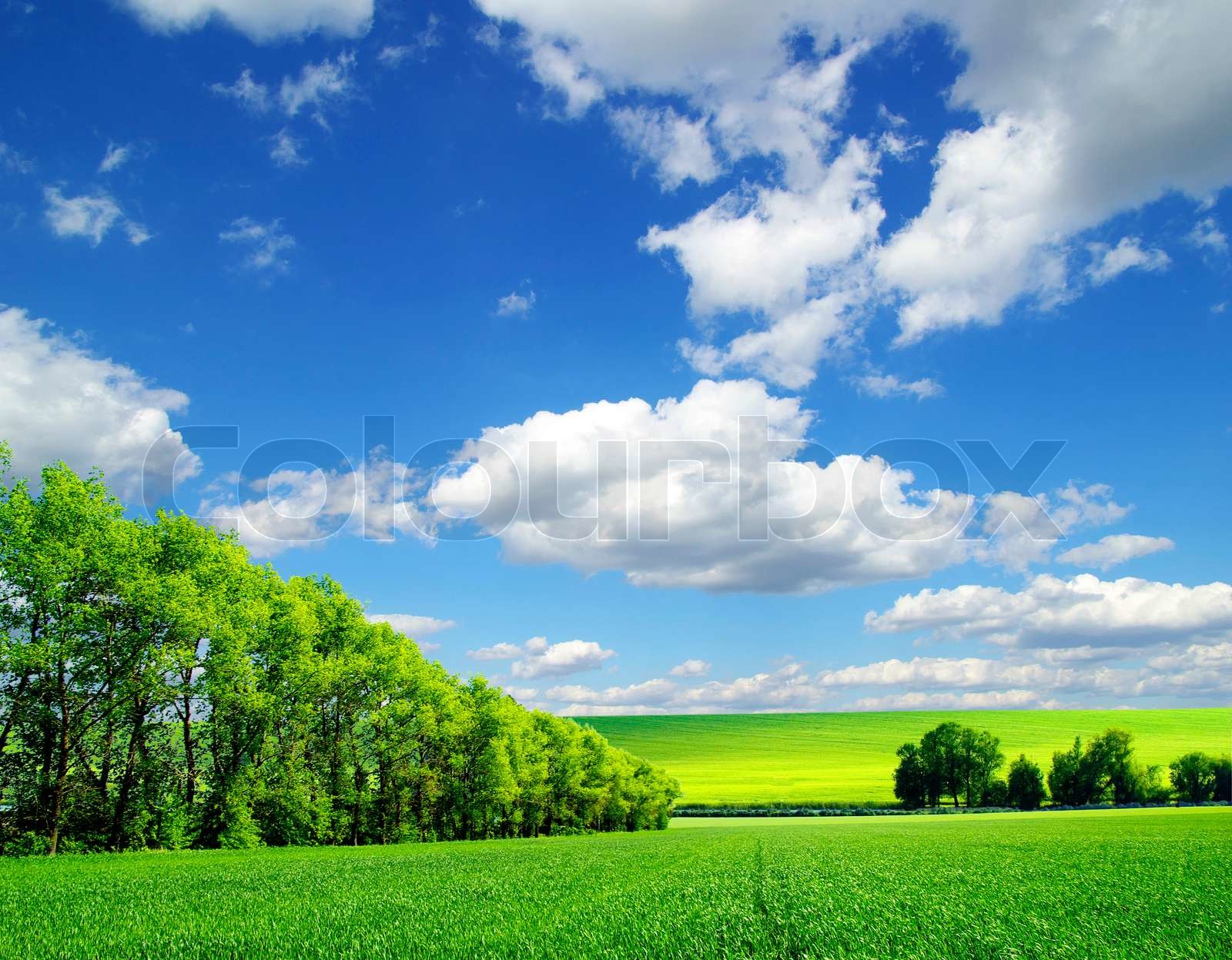 Feld | Stock Bild | Colourbox