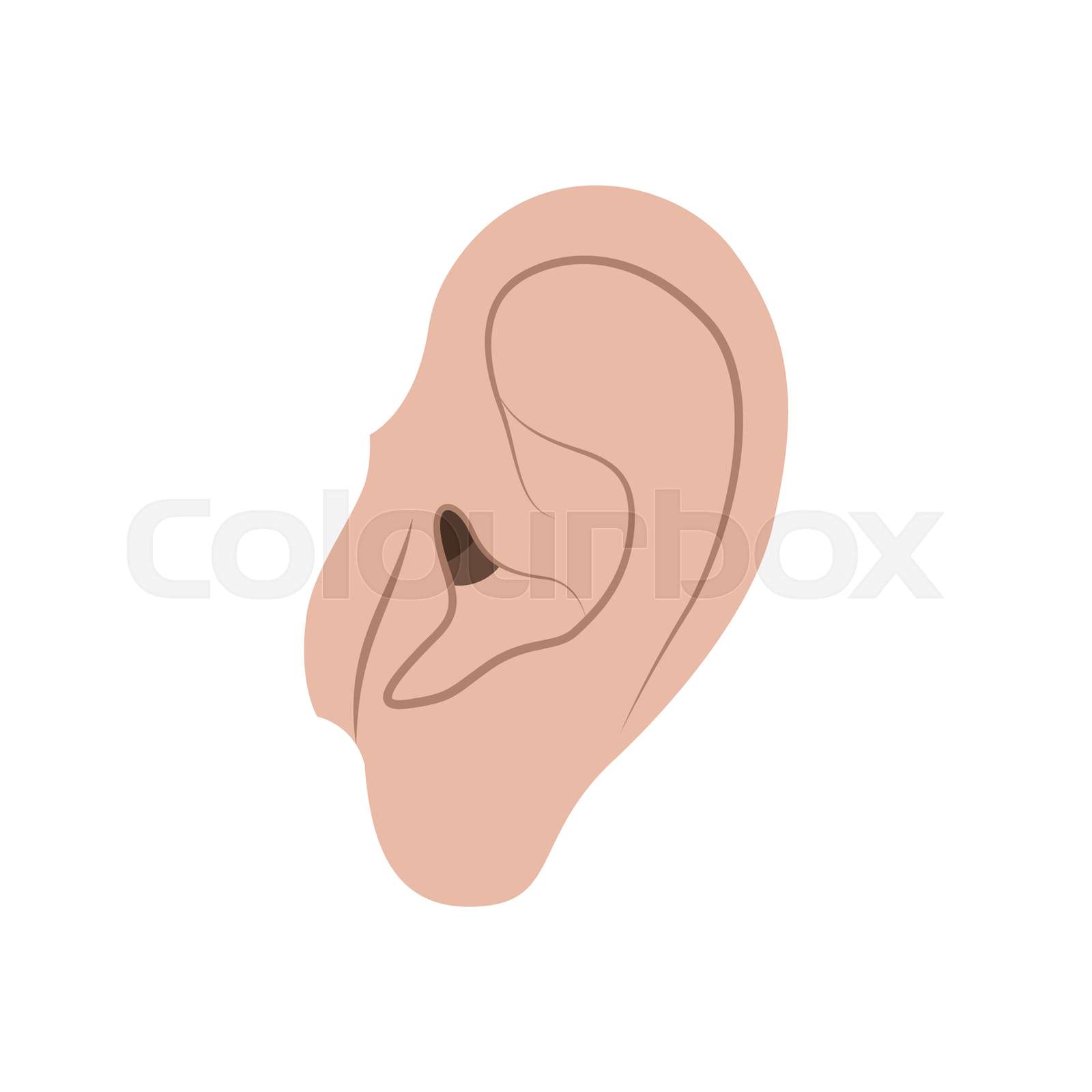 human ear avatar character | Stock vector | Colourbox