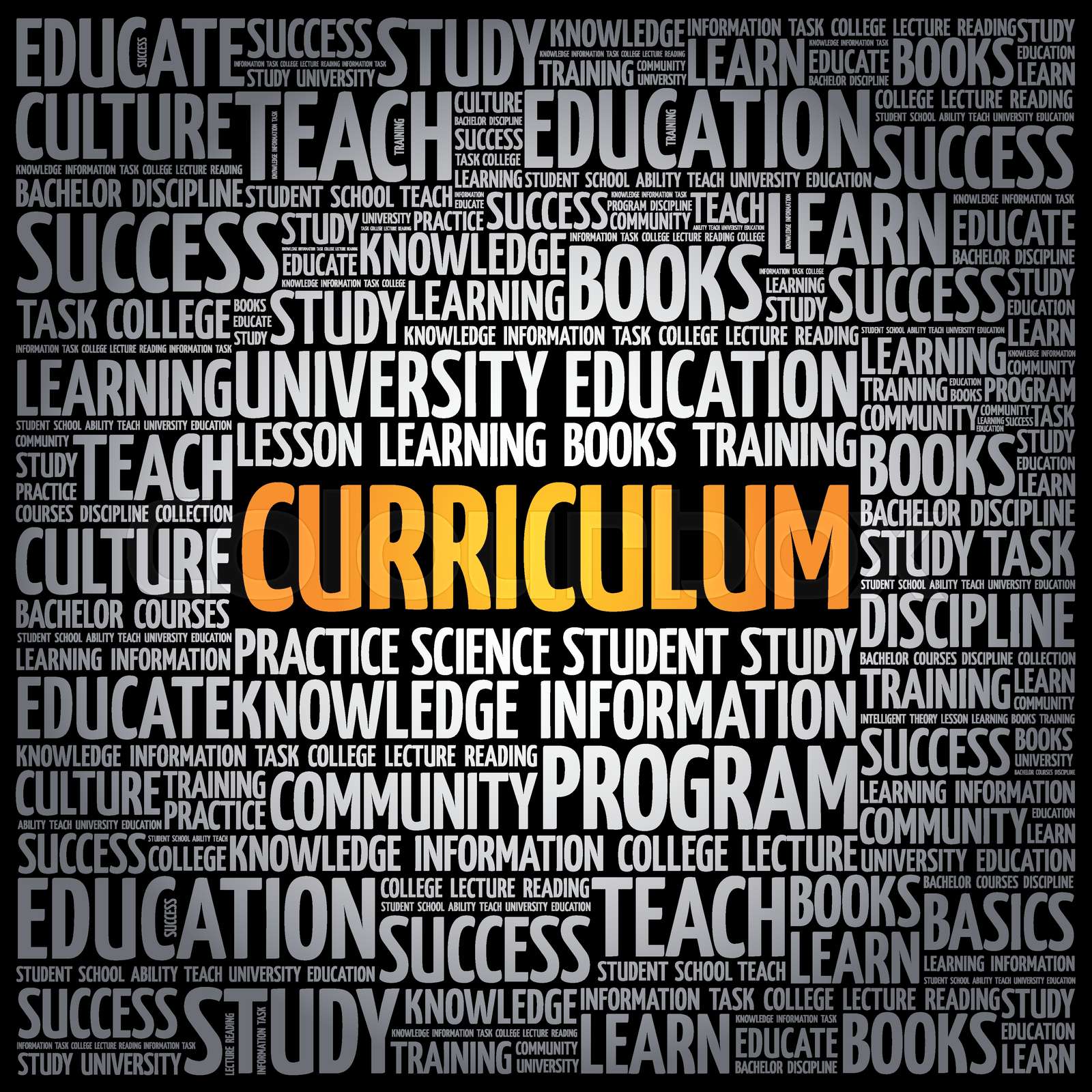 CURRICULUM word cloud collage | Stock vector | Colourbox