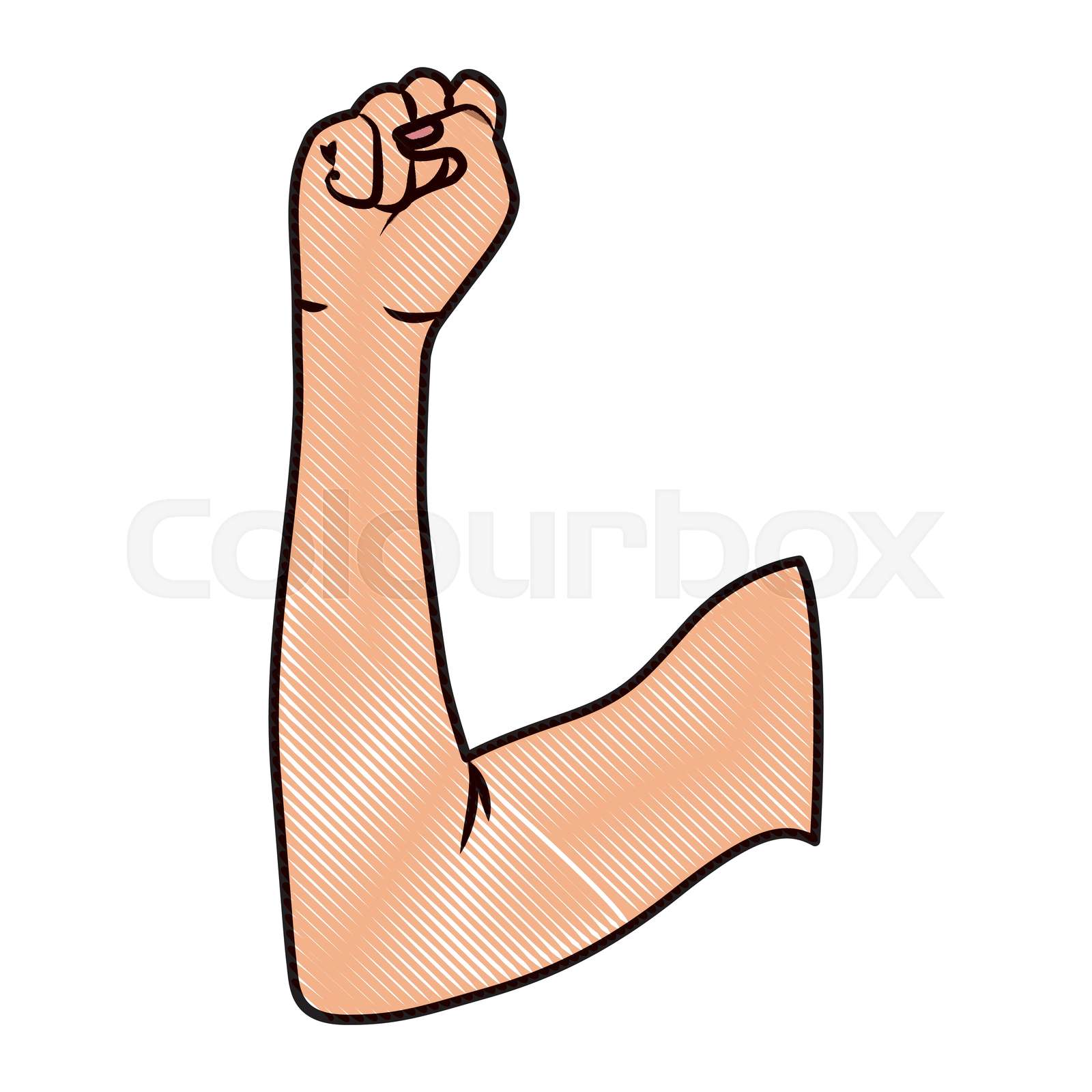 arm human fist icon | Stock vector | Colourbox
