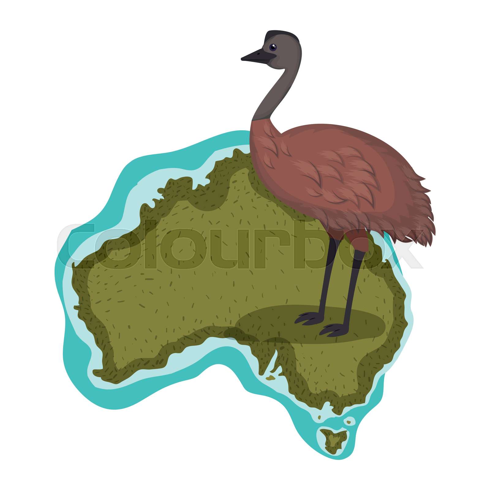 wild emu bird over australian map | Stock vector | Colourbox
