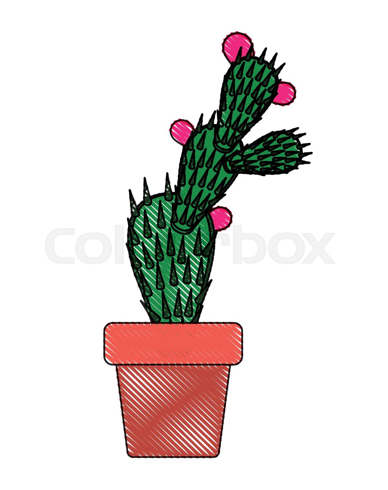 nopal cactus in pot | Stock vector | Colourbox