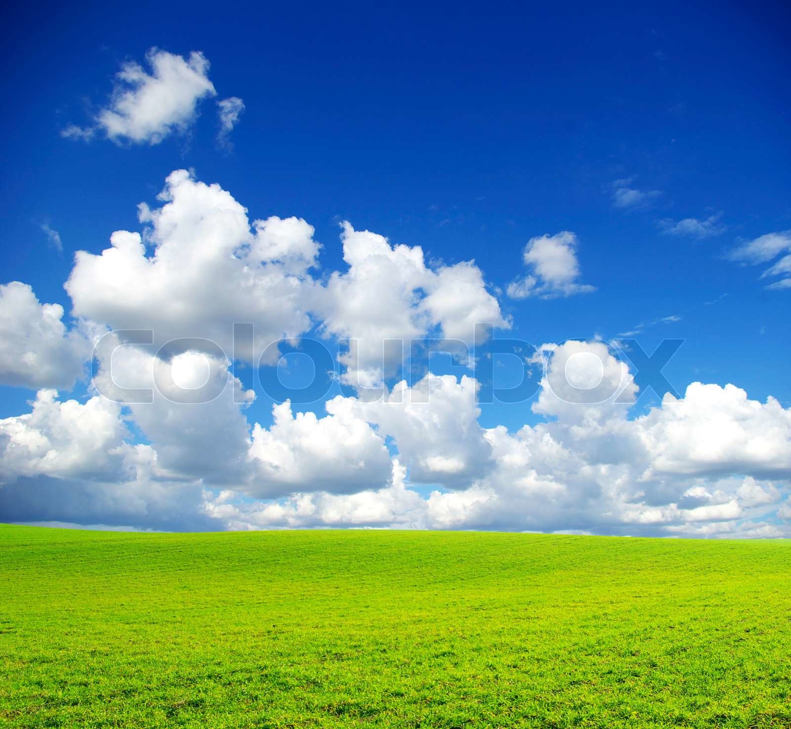 Feld | Stock Bild | Colourbox