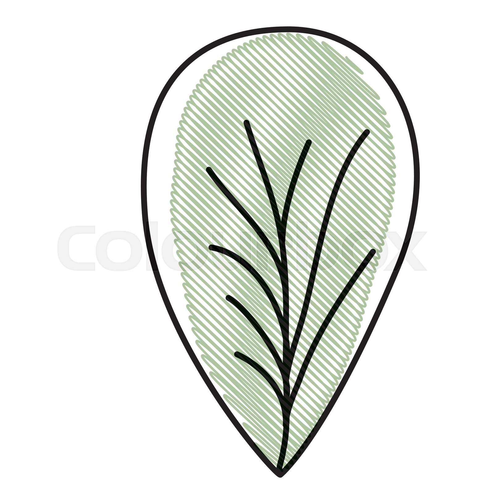 leaf single decorative icon | Stock vector | Colourbox